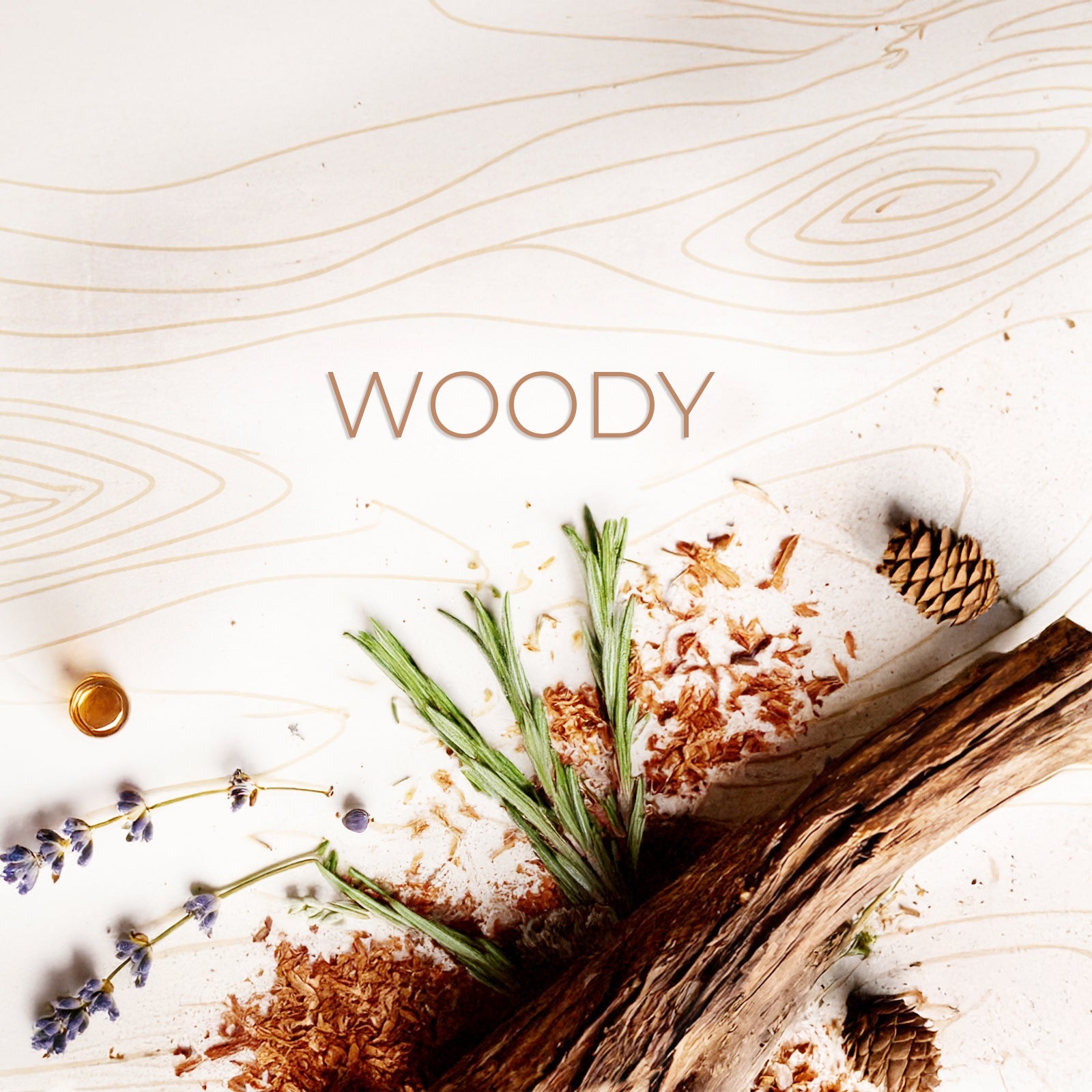 Shop Oils With Woody Scent Direction | Aromatica 360 – Aromatica360