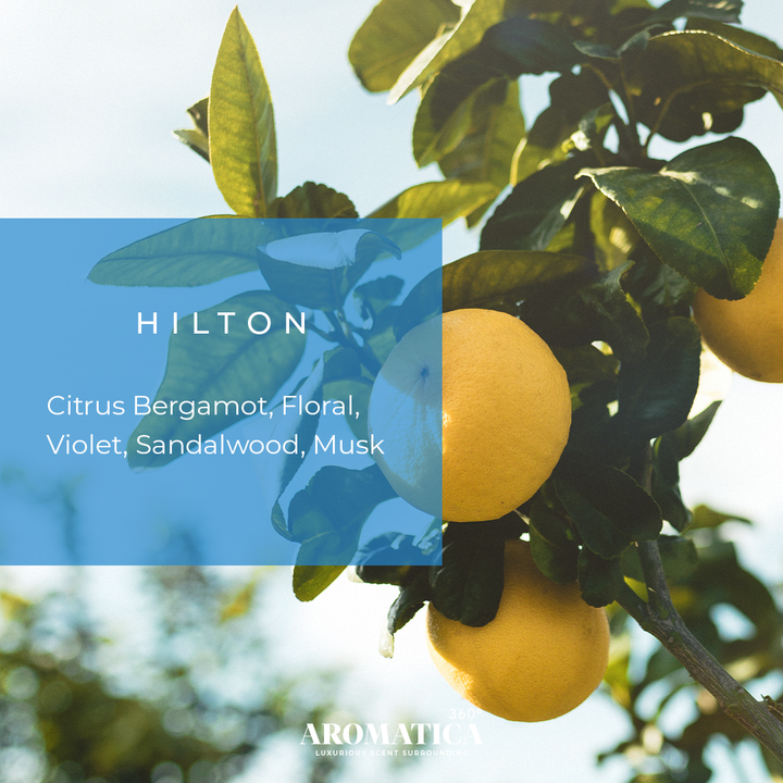 Shop Hilton Sophisticated Fragrance for Homes & Lounges | Aromatica 360 ...
