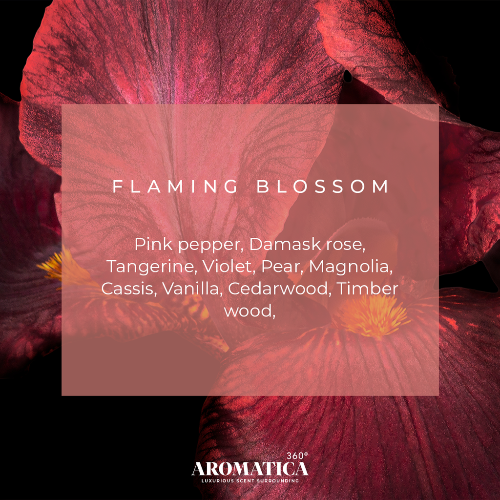 Flaming Blossom – Aromatica360