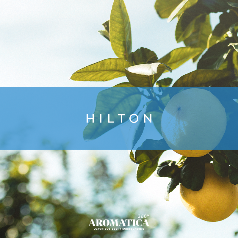 Shop Hilton Sophisticated Fragrance for Homes & Lounges | Aromatica 360 ...