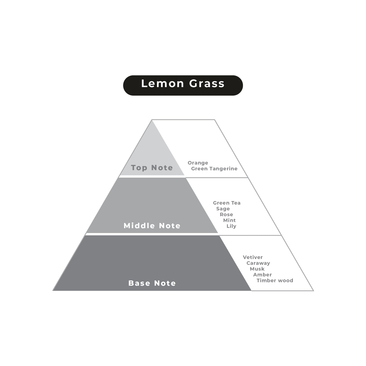 Lemon Grass – Aromatica360