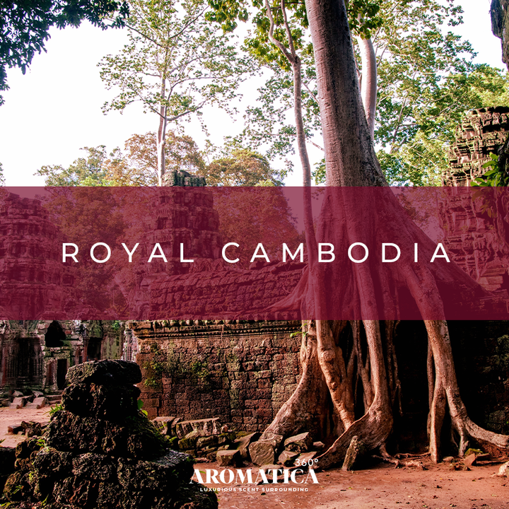 Shop Royal Cambodia Fragrance for Home and Office | Aromatica 360 ...